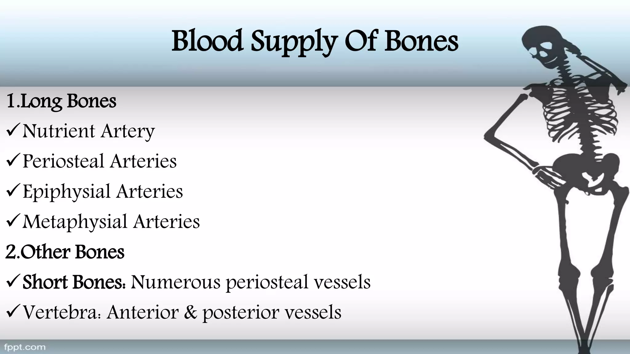 Purvi shah anatomy of bone ppt | PPTX
