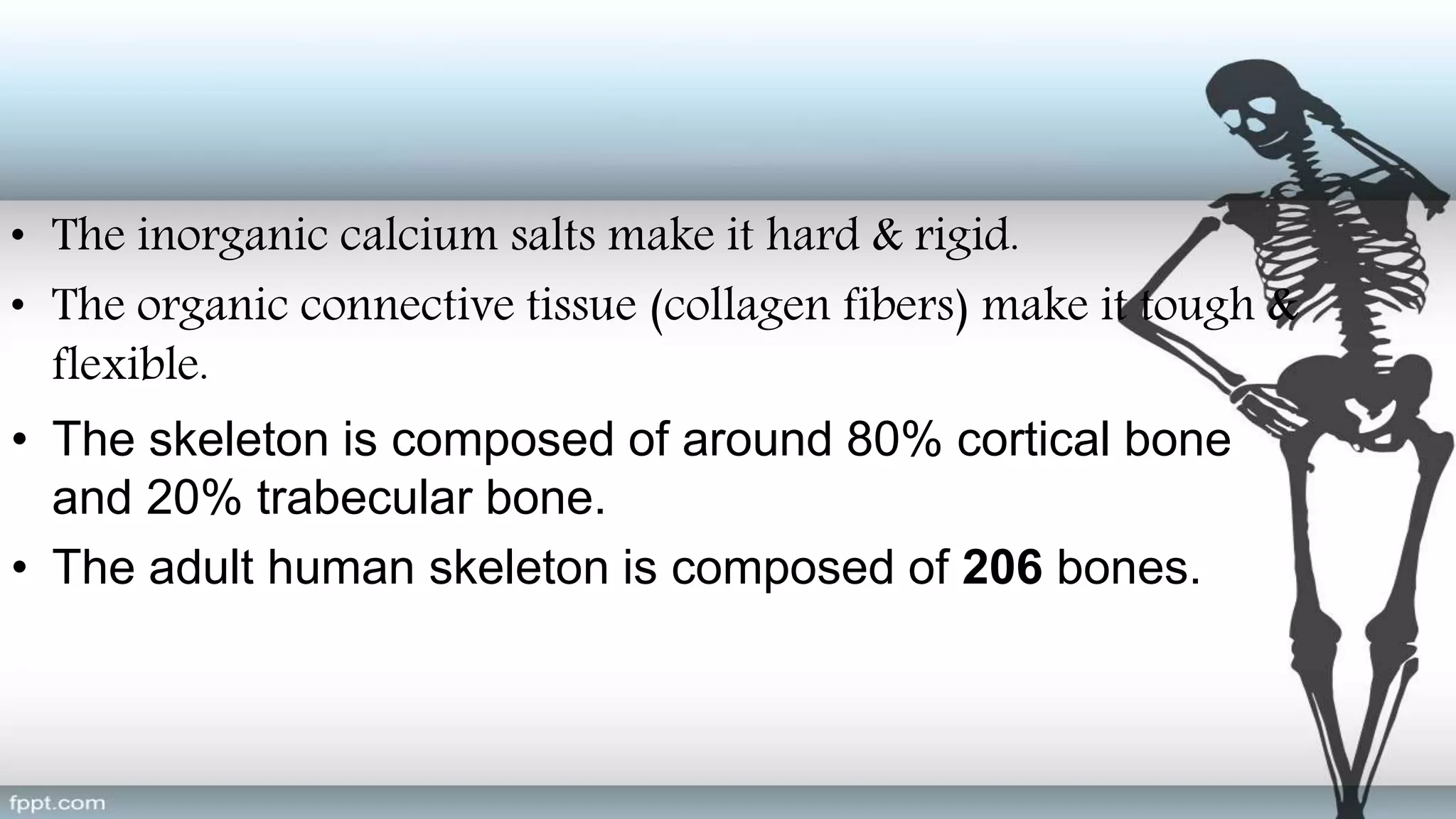 Purvi shah anatomy of bone ppt | PPTX