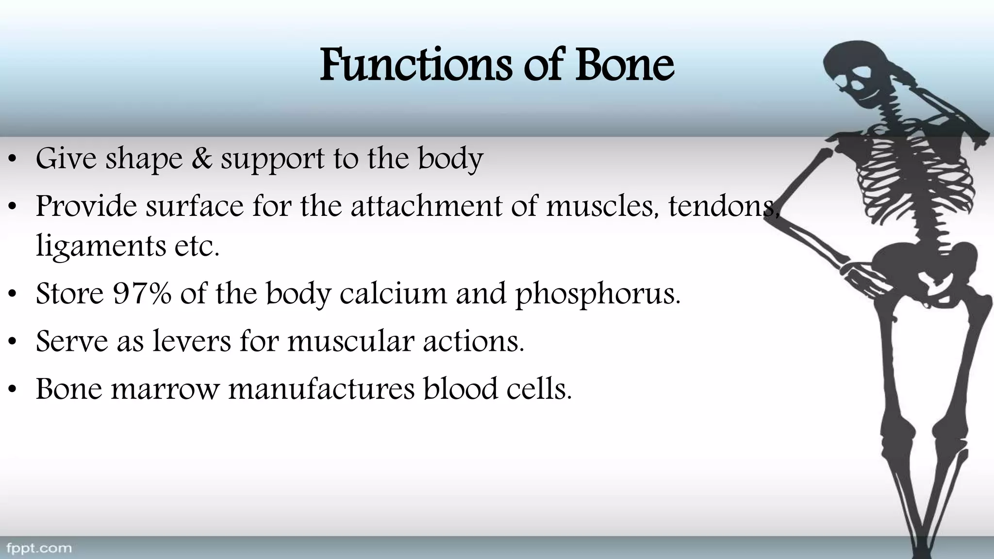 Purvi shah anatomy of bone ppt | PPTX