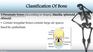 Purvi shah anatomy of bone ppt | PPTX