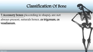 Purvi shah anatomy of bone ppt | PPTX