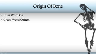 Purvi shah anatomy of bone ppt | PPTX