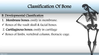Purvi shah anatomy of bone ppt | PPTX