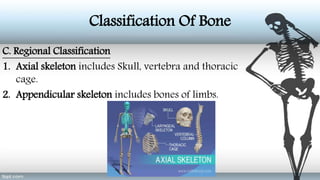 Purvi shah anatomy of bone ppt | PPTX