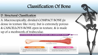 Purvi shah anatomy of bone ppt | PPTX