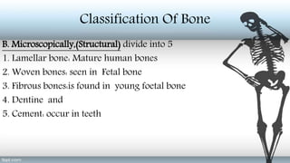 Purvi shah anatomy of bone ppt | PPTX