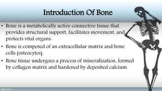 Purvi shah anatomy of bone ppt | PPTX