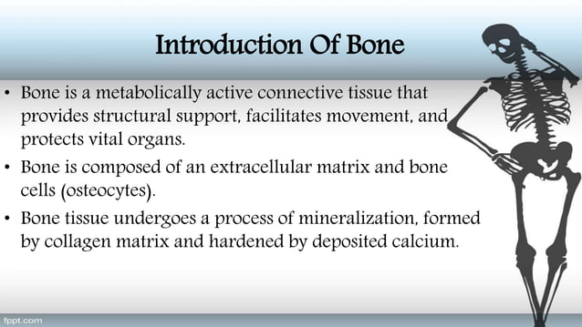 Purvi shah anatomy of bone ppt | PPTX | Death, Injury, or Military ...