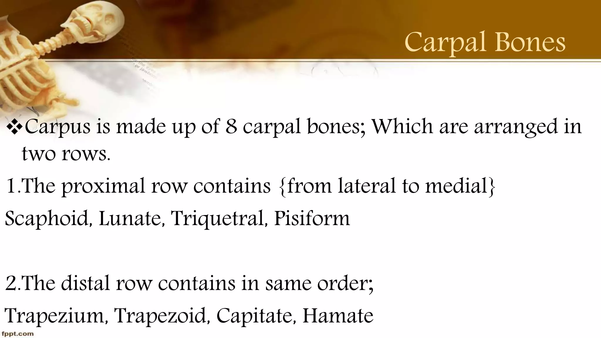Purvi shah carpal bone anatomy ppt | PPTX