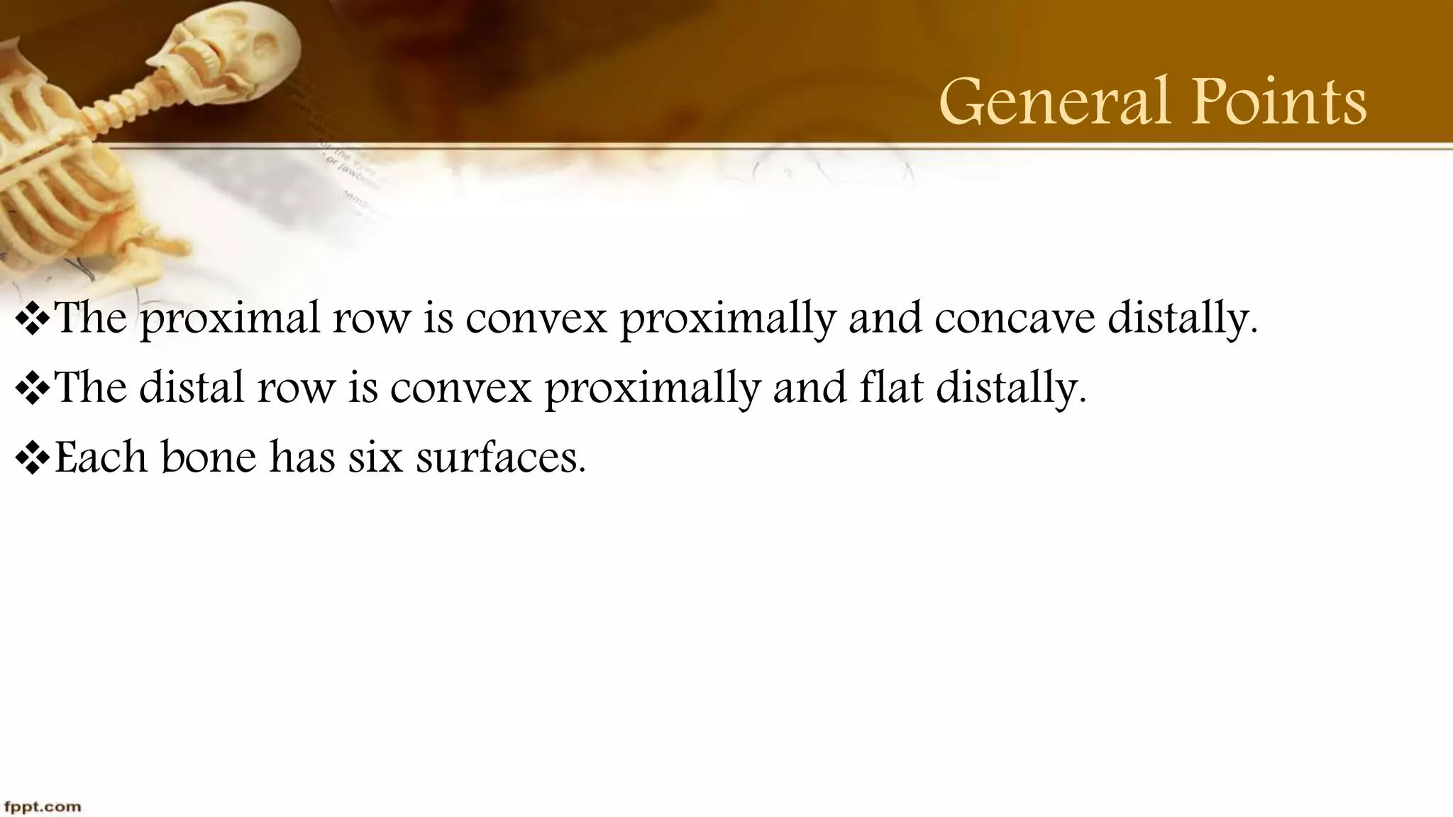 Purvi shah carpal bone anatomy ppt | PPTX