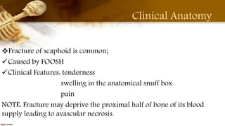 Purvi shah carpal bone anatomy ppt | PPTX