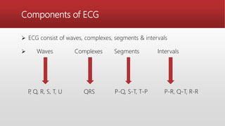 Purvi shah ecg ppt | PPTX