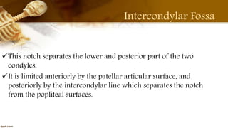 Purvi shah femur bone ppt | PPTX