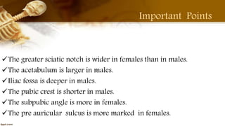 Purvi shah hip bone anatomy ppt | PPTX