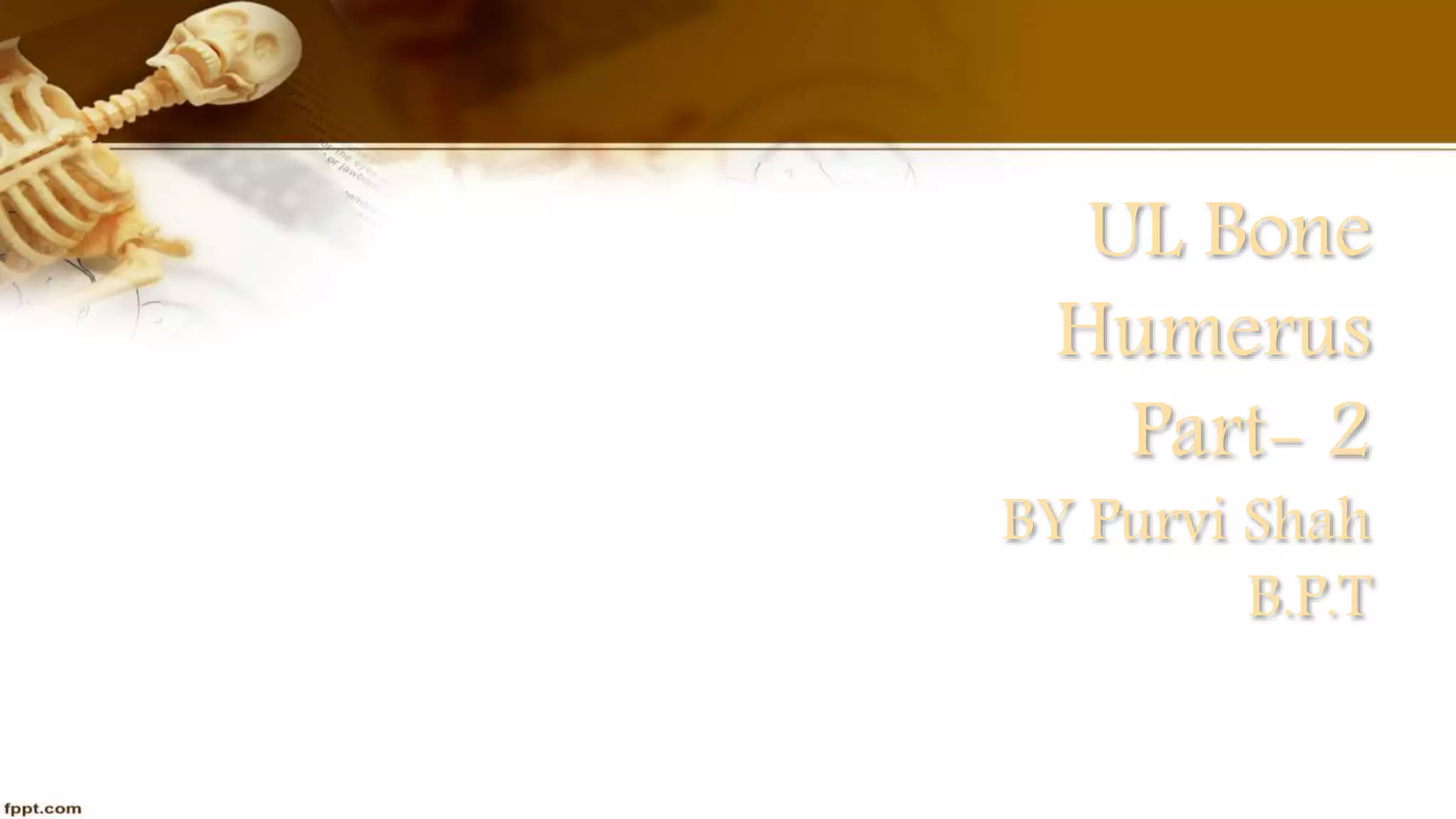 Purvi shah humerus anatomy ppt | PPT