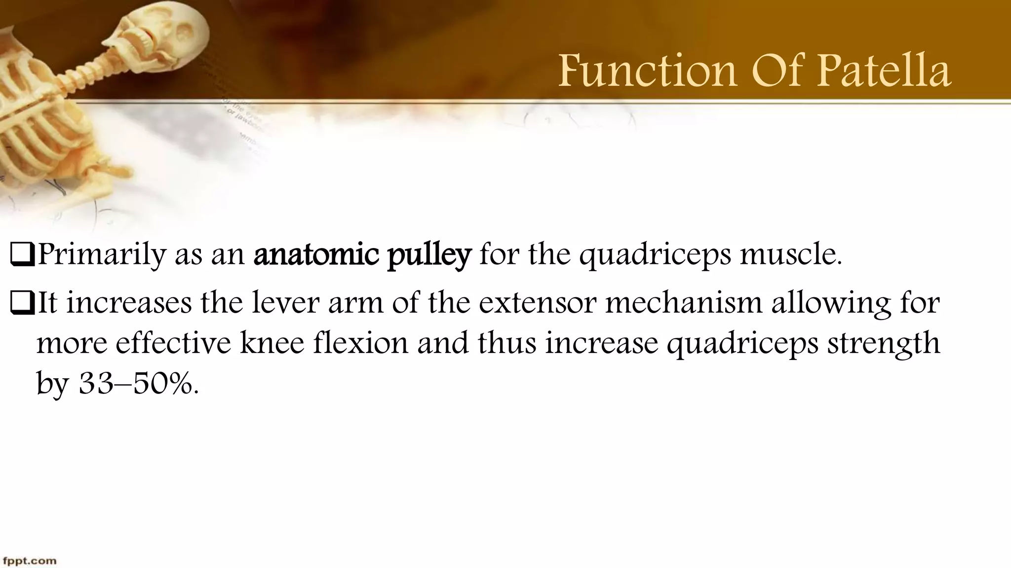 Purvi shah Anatomy Of patella PPT | PPTX