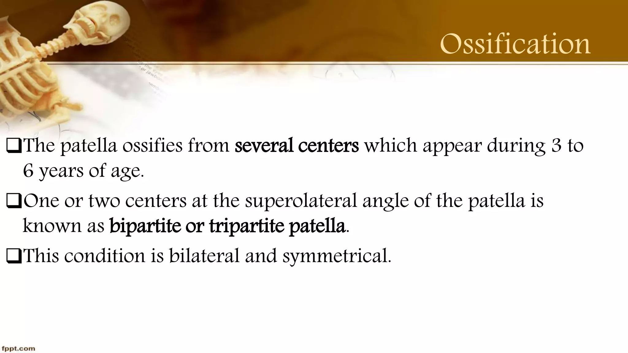 Purvi shah Anatomy Of patella PPT | PPTX