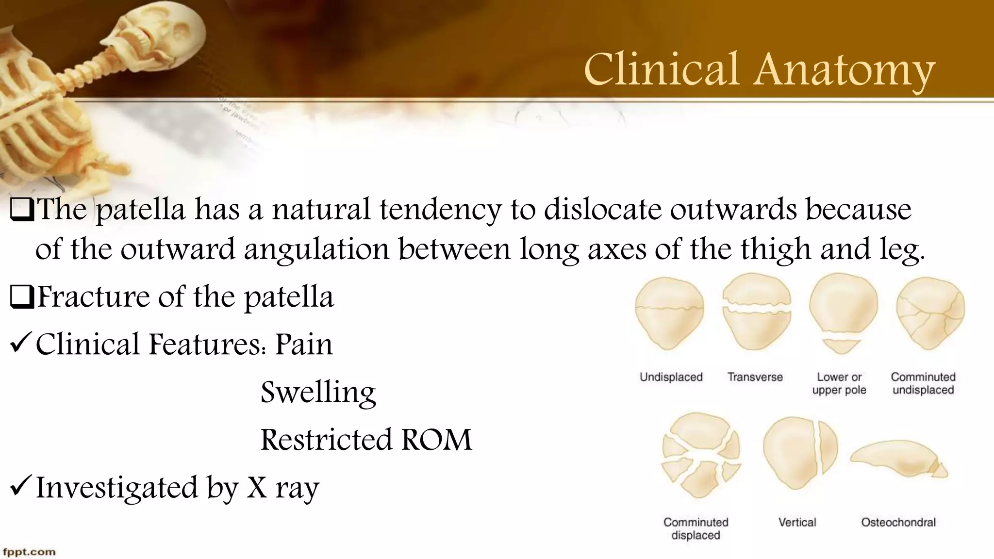 Purvi shah Anatomy Of patella PPT | PPTX