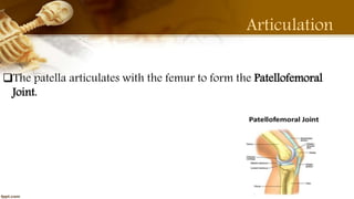 Purvi shah Anatomy Of patella PPT | PPTX