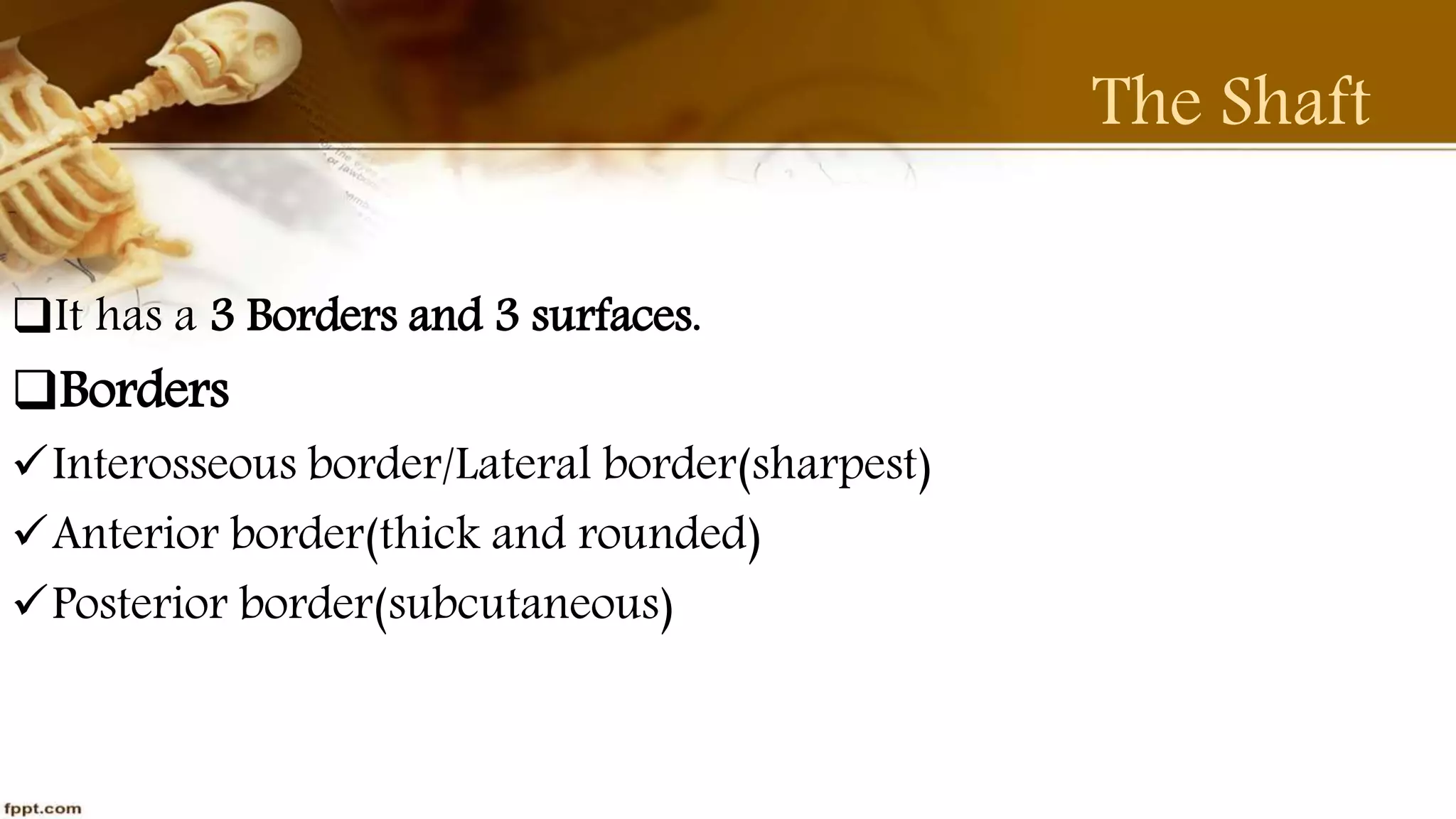 Purvi shah radius & ulna anatomy ppt | PPTX