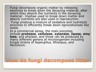 PUSA DECOMPOSER.pptx