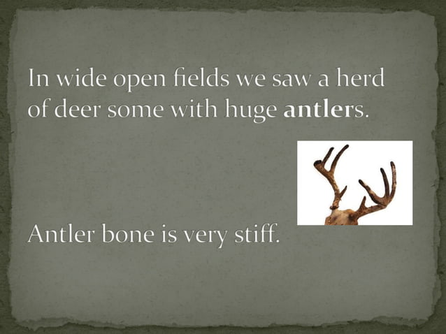 Pushing Up the Sky vocab | PPT