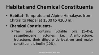 Pushkarmula (Inula racemosa) with Ayurvedic descriptions | PPTX