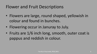 Pushkarmula (Inula racemosa) with Ayurvedic descriptions | PPTX