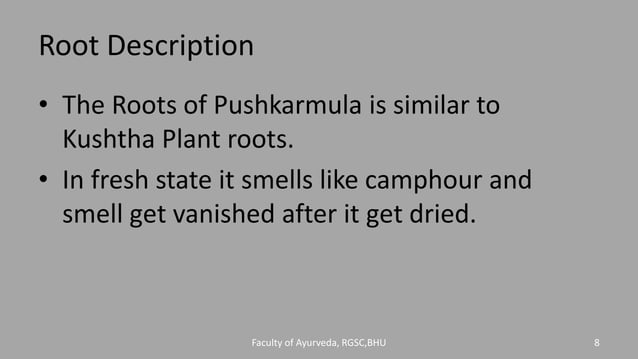 Pushkarmula (Inula racemosa) with Ayurvedic descriptions | PPTX ...