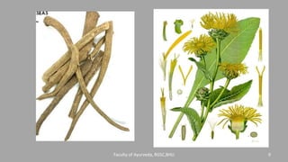 Pushkarmula (Inula racemosa) with Ayurvedic descriptions | PPTX