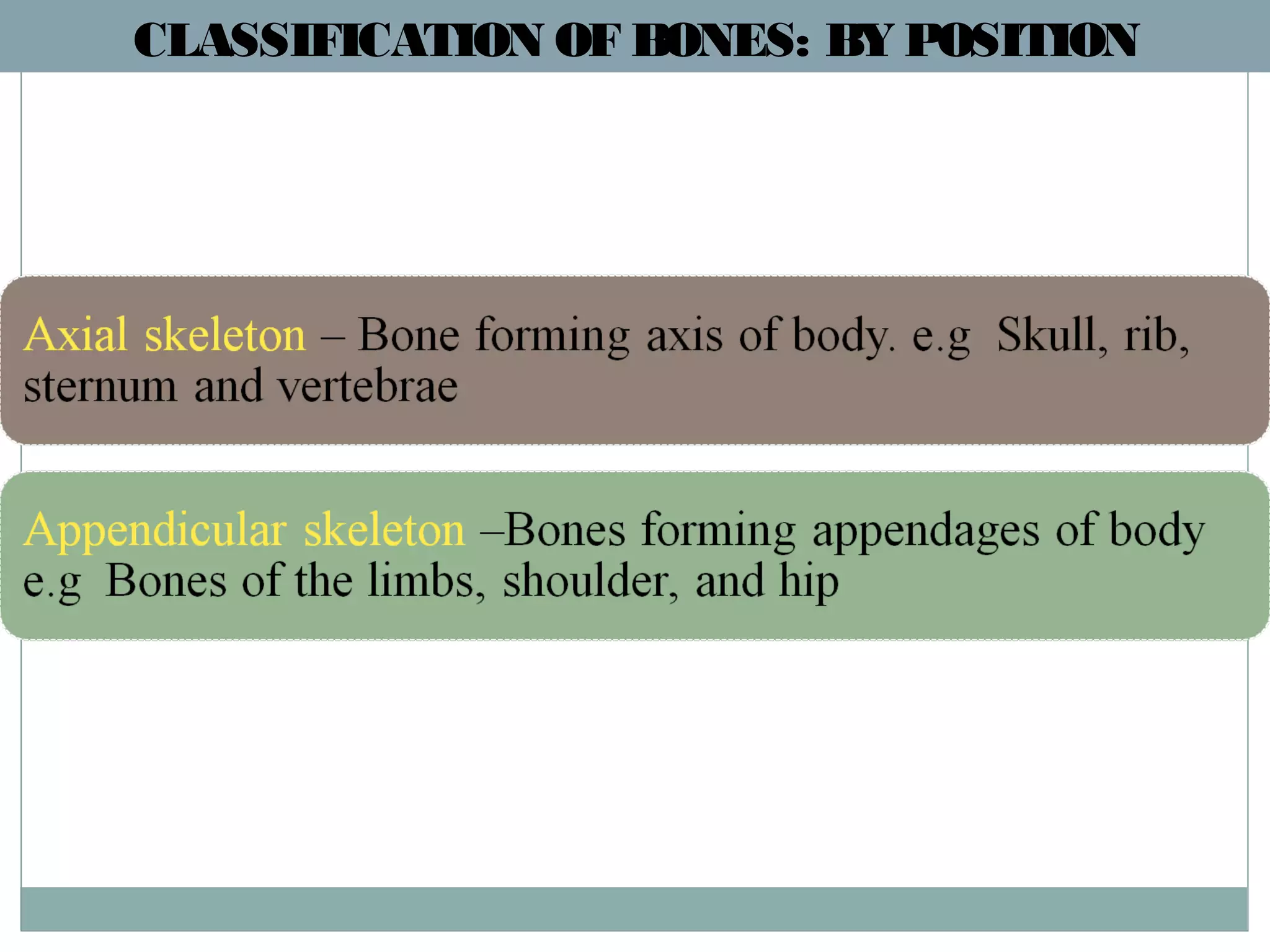 Bone physiology | PPT