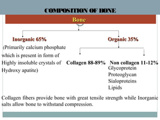 Bone physiology | PPT
