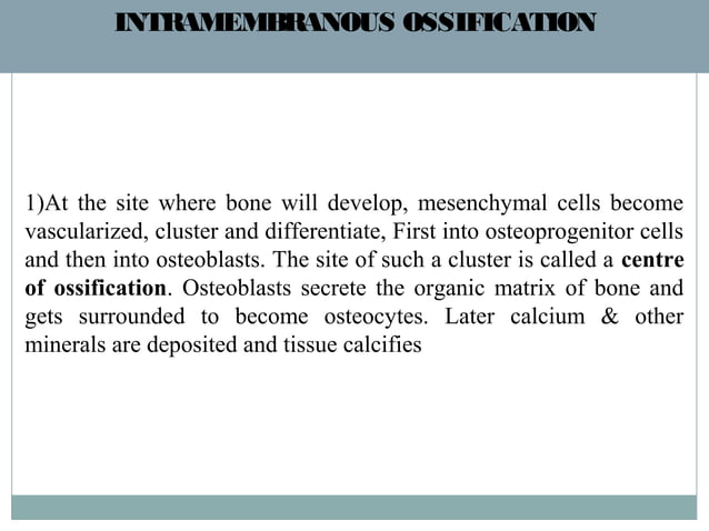 Bone physiology | PPT