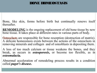 Bone physiology | PPT