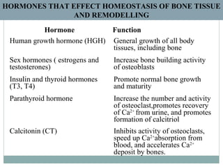 Bone physiology | PPT