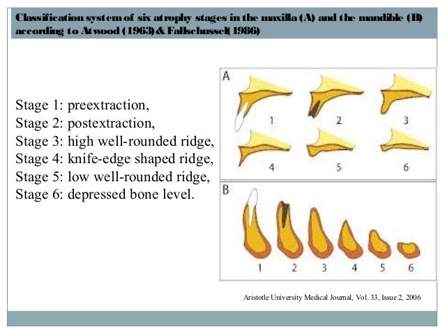Bone physiology