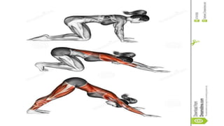 Push up position exercises | PPTX