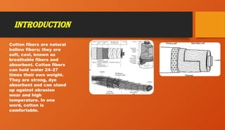 cotton fibre pptmhfkagfjagf,jgajfgjasgfjagjagjag | PPT