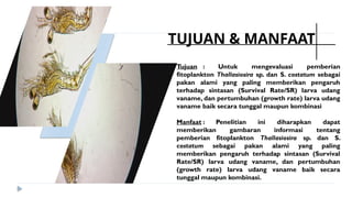 PUSPITA presentation-1 Pengaruh pemberian thalassiosira sp, skeletonema ...