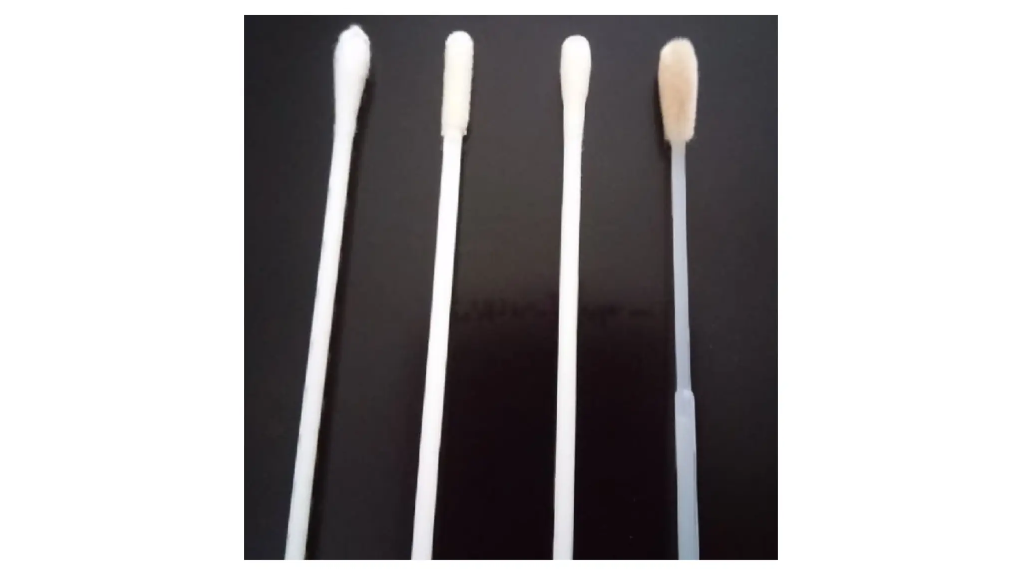 Pus Sample Collection & Processing (1).pptx