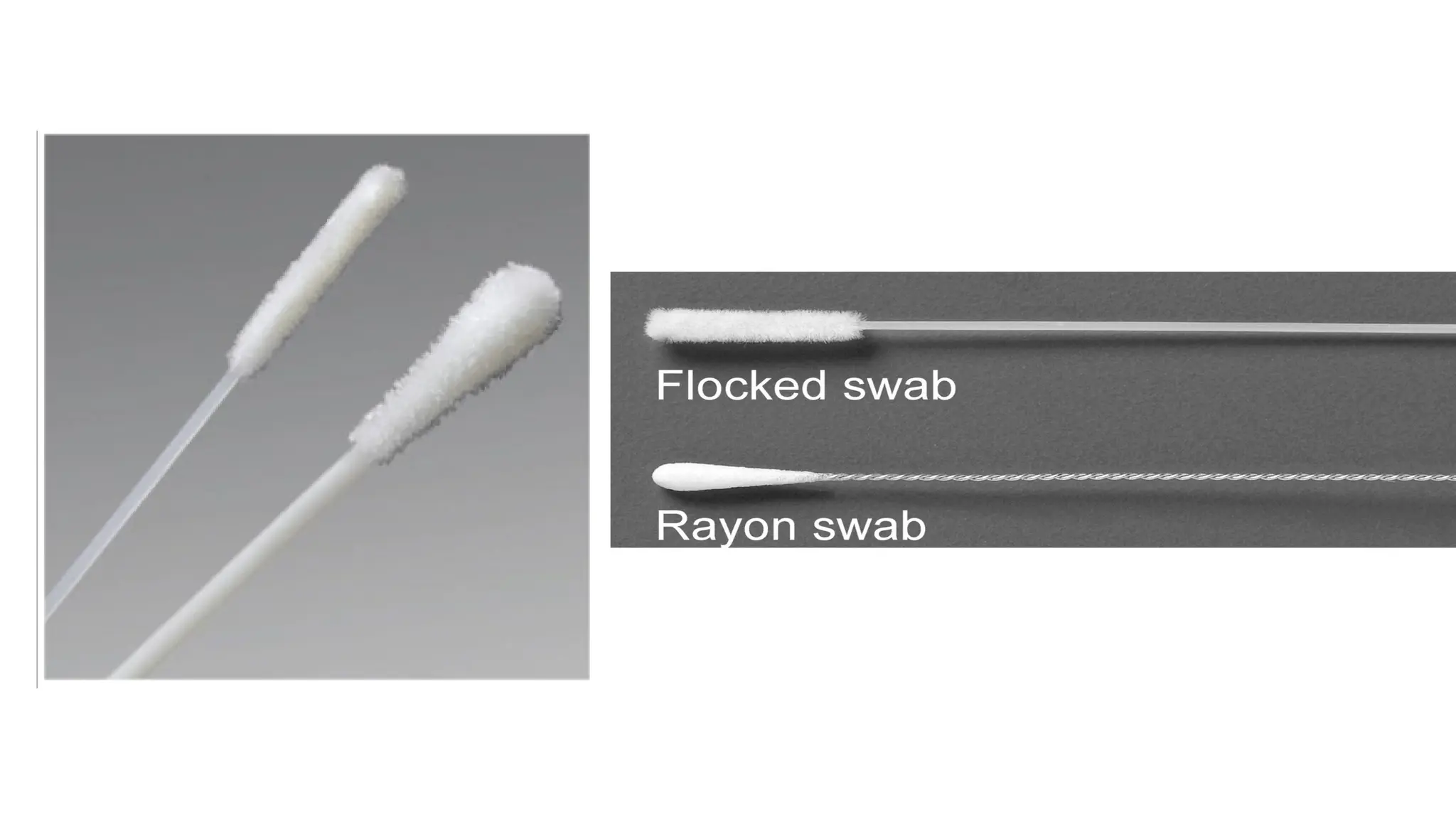 Pus Sample Collection & Processing (1).pptx