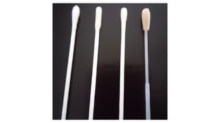 Pus Sample Collection & Processing (1).pptx