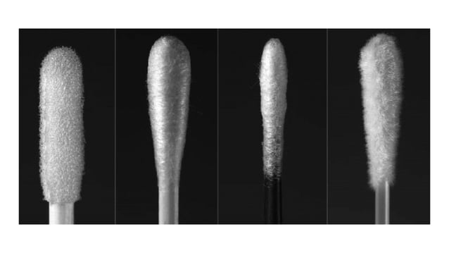 Pus Sample Collection & Processing (1).pptx