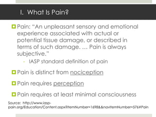 Amanda Pustilnik, "Pain, Abortion, and the Legal Status of the Fetus" | PPT
