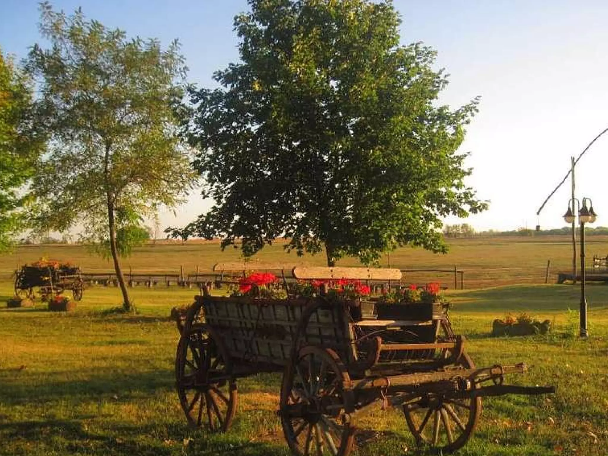 Puszta - The Hungarian Plain | PPS