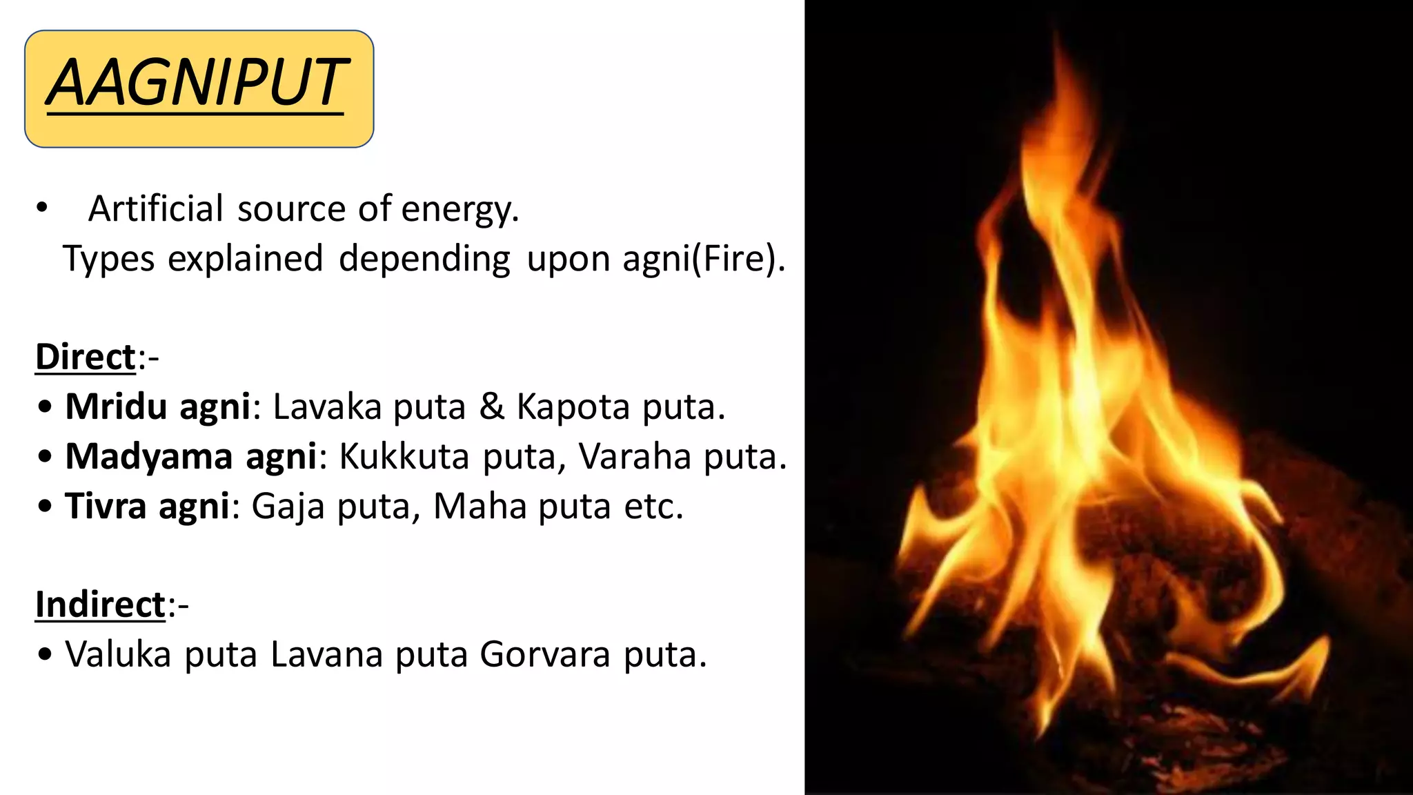 Puta | PDF
