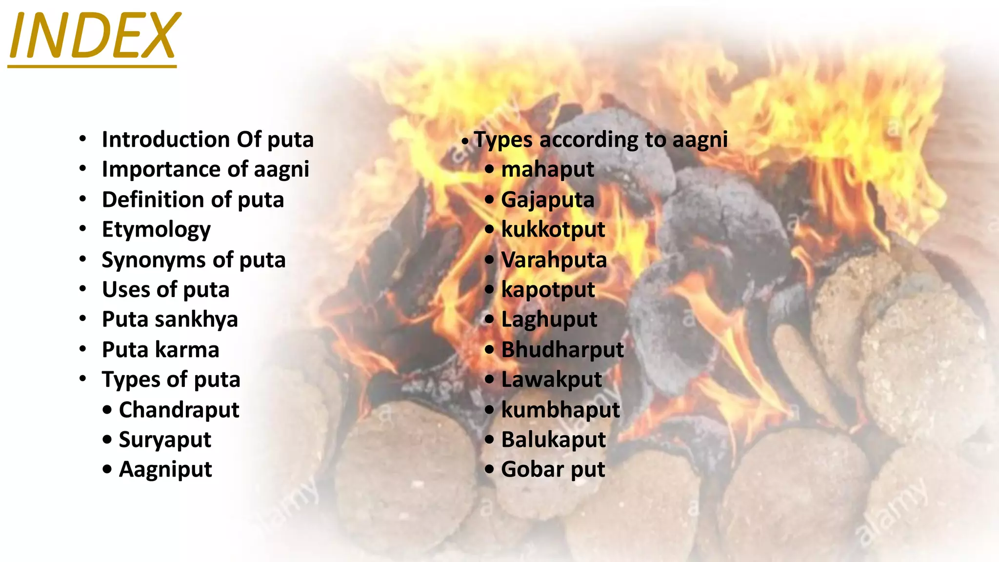 Puta | PDF