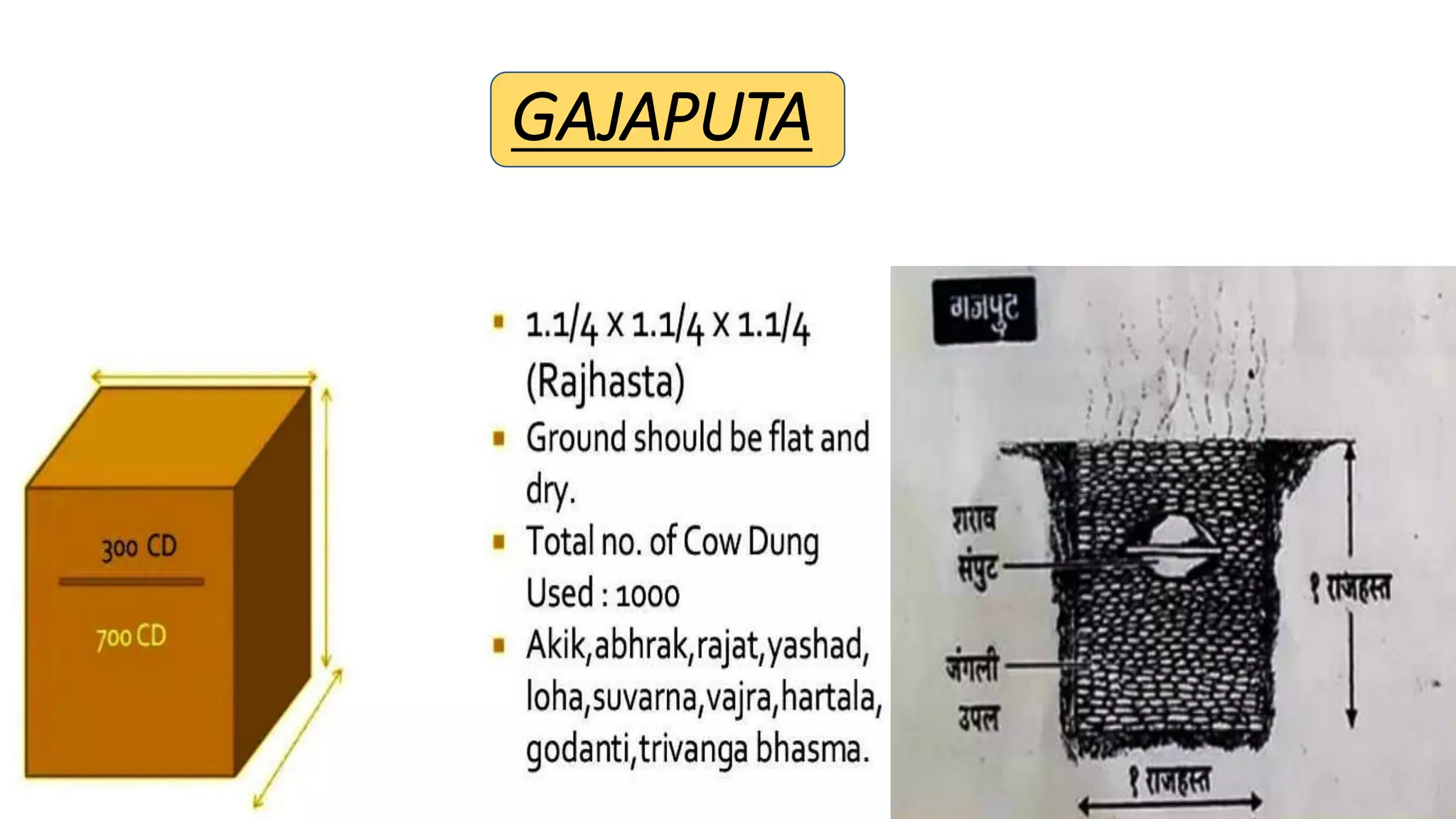 Puta | PDF