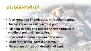 Puta | PDF
