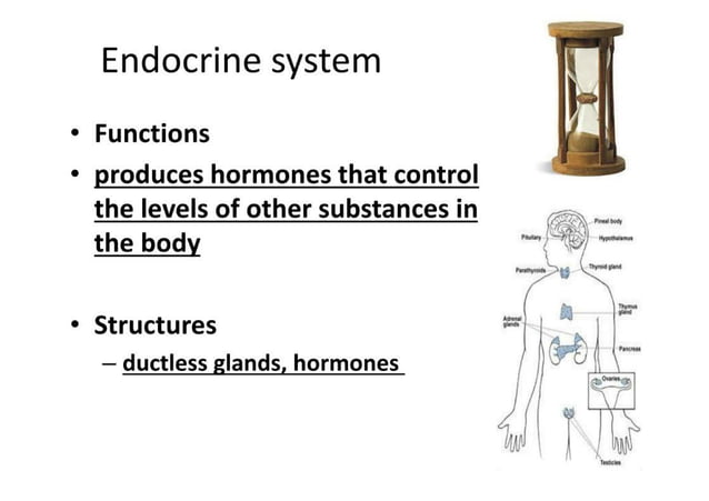 Put Correct System With The Picture (Write In Pencil) | PDF